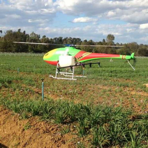 Single-rotor UAV agriculture helicopter for plant protection or farm ...